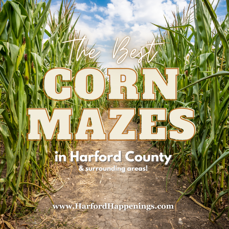 Best Corn Mazes in Harford County! - Harford Happenings